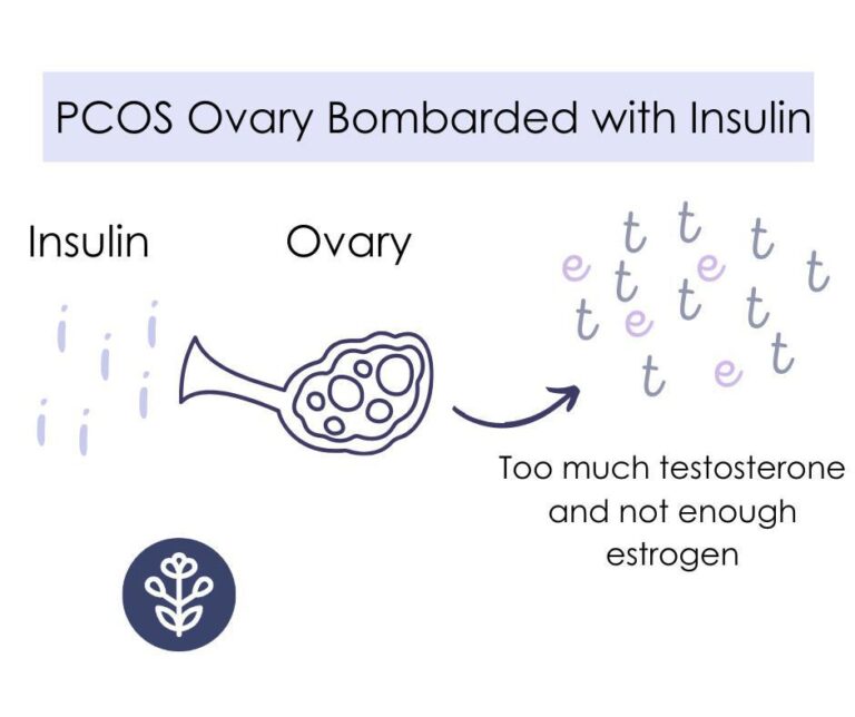 Inositol Supplements for PCOS: The Ultimate Guide – PCOS Support